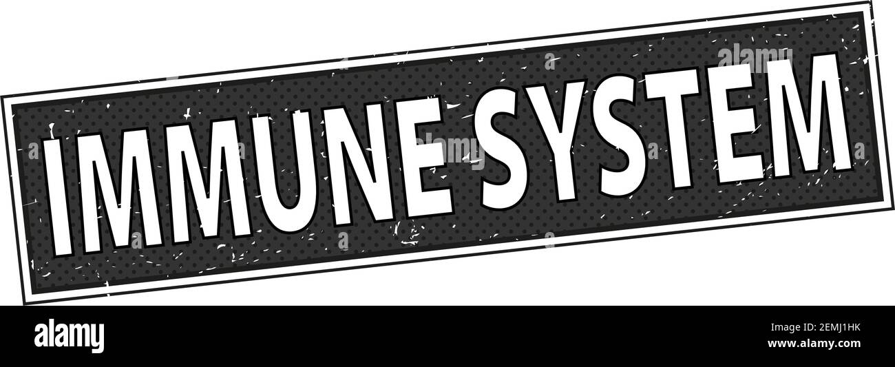IMMUNE SYSTEM Stamp in Grunge Design Isolaten on White Background ...