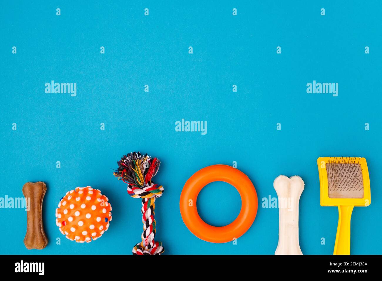 Set of accessories for the dog on blue background. Ball for game ...