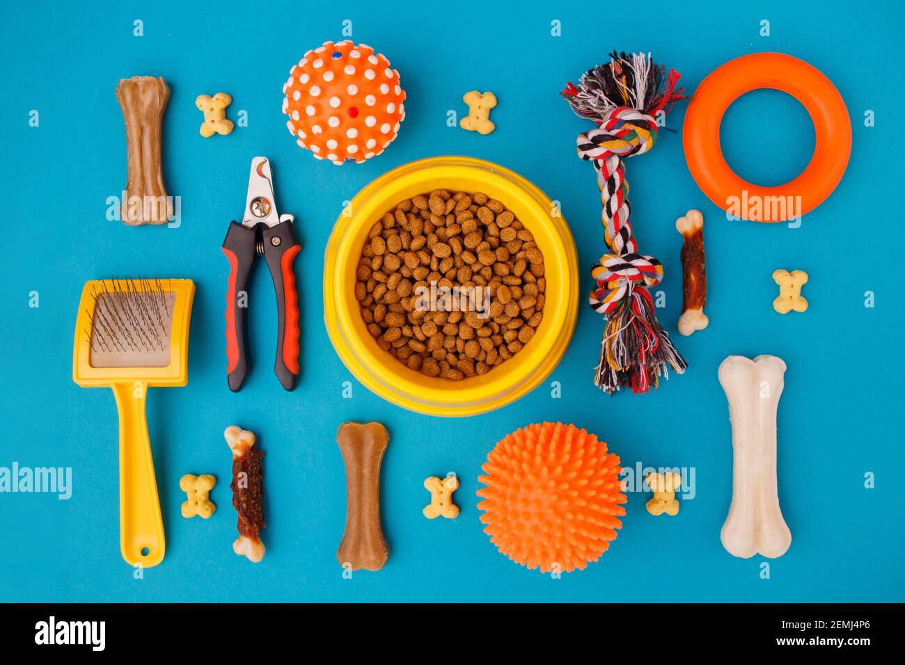 Set of accessories for the dog on a blue background. Yellow bowl, ball ...