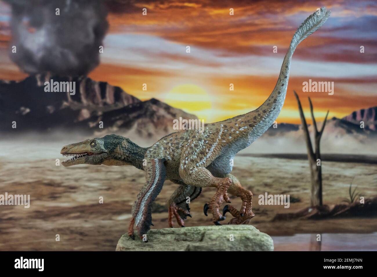 Feathered velociraptor with open mouth in jurassic land with volcano in ...