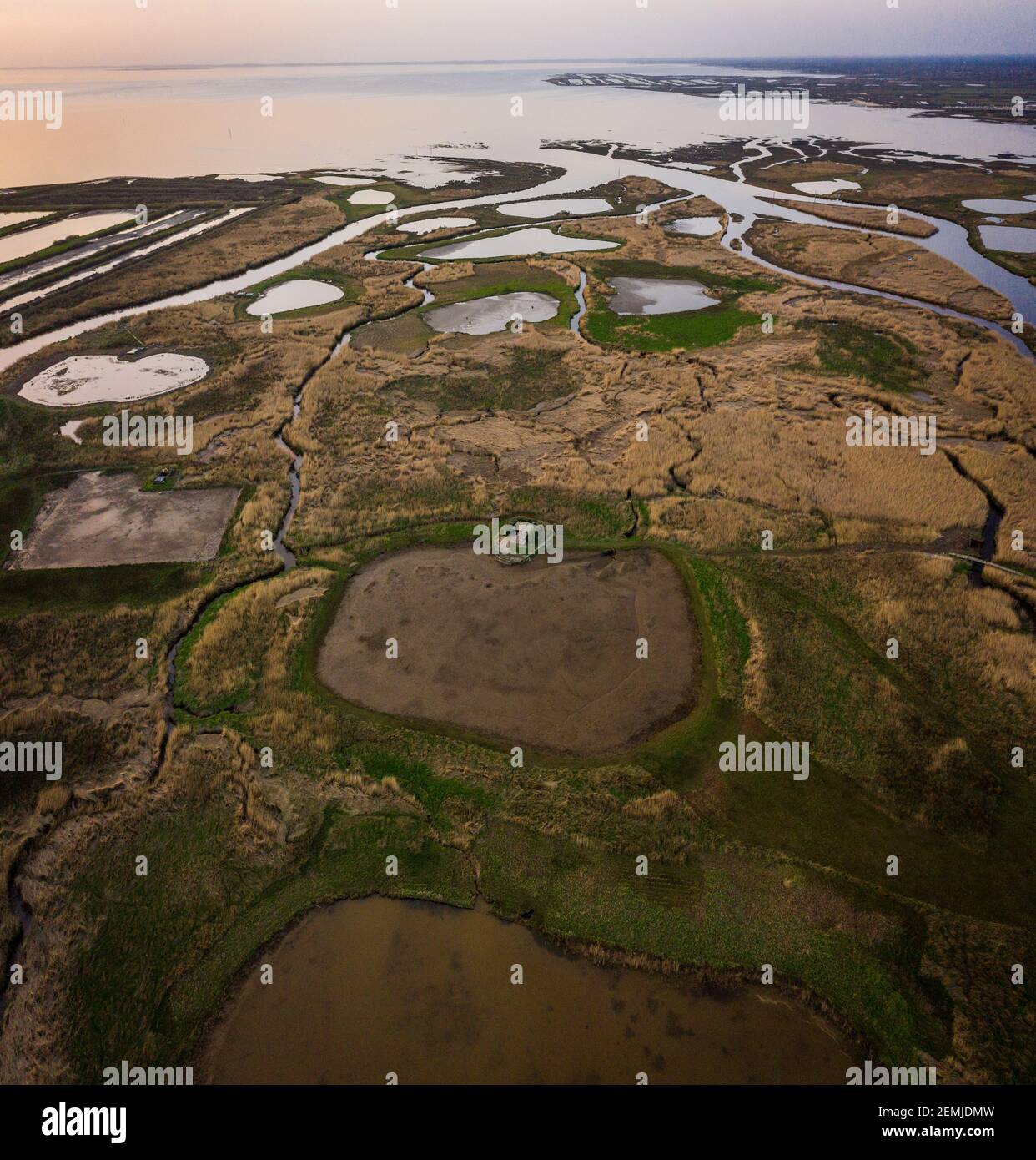 Eyre basin hi-res stock photography and images - Alamy