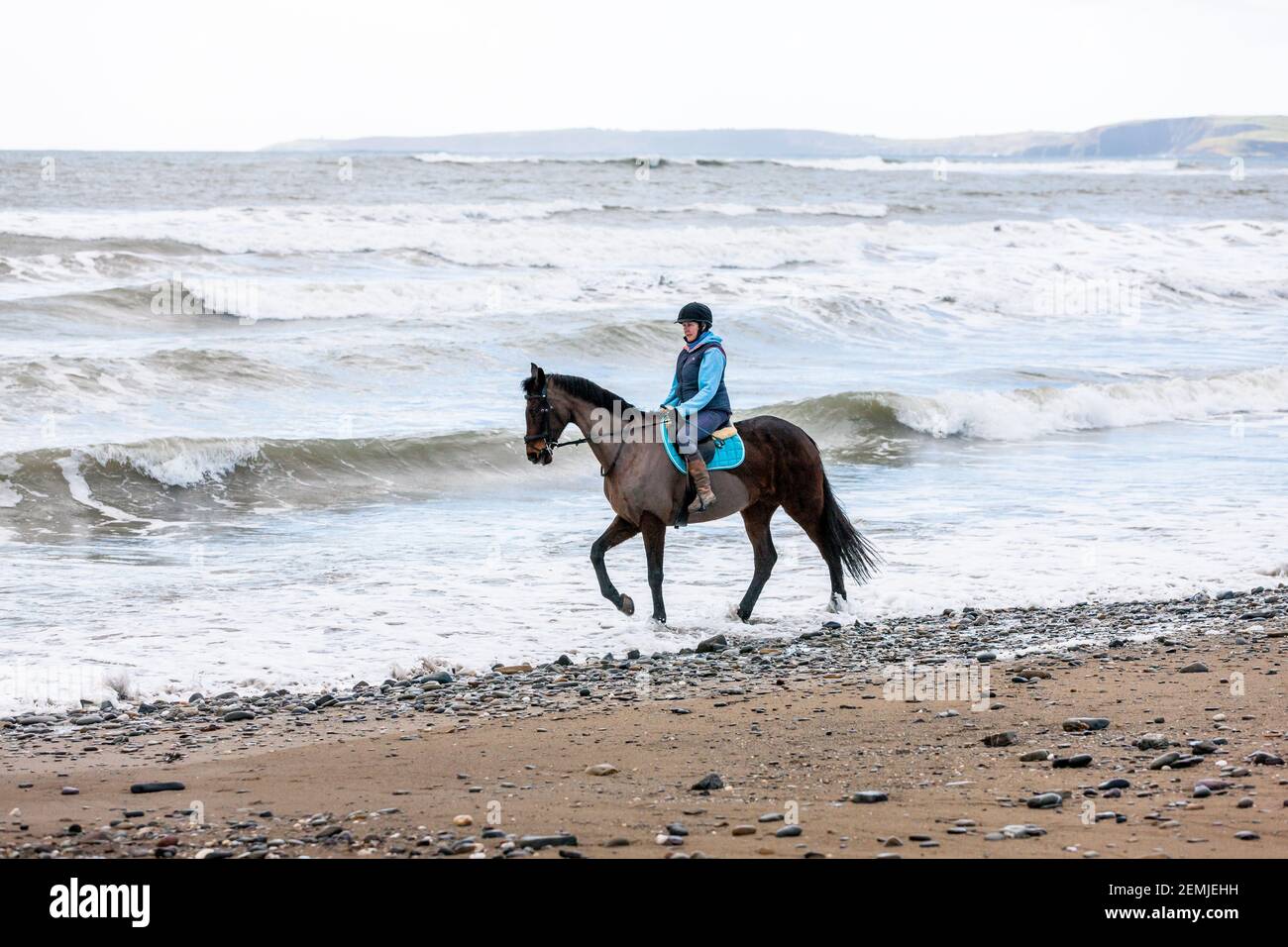 Gareth david potter hi-res stock photography and images - Alamy