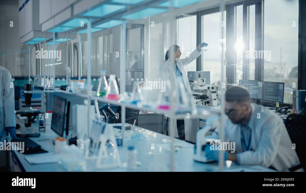 Modern Medical Research Laboratory: Diverse Team of Scientists Working ...