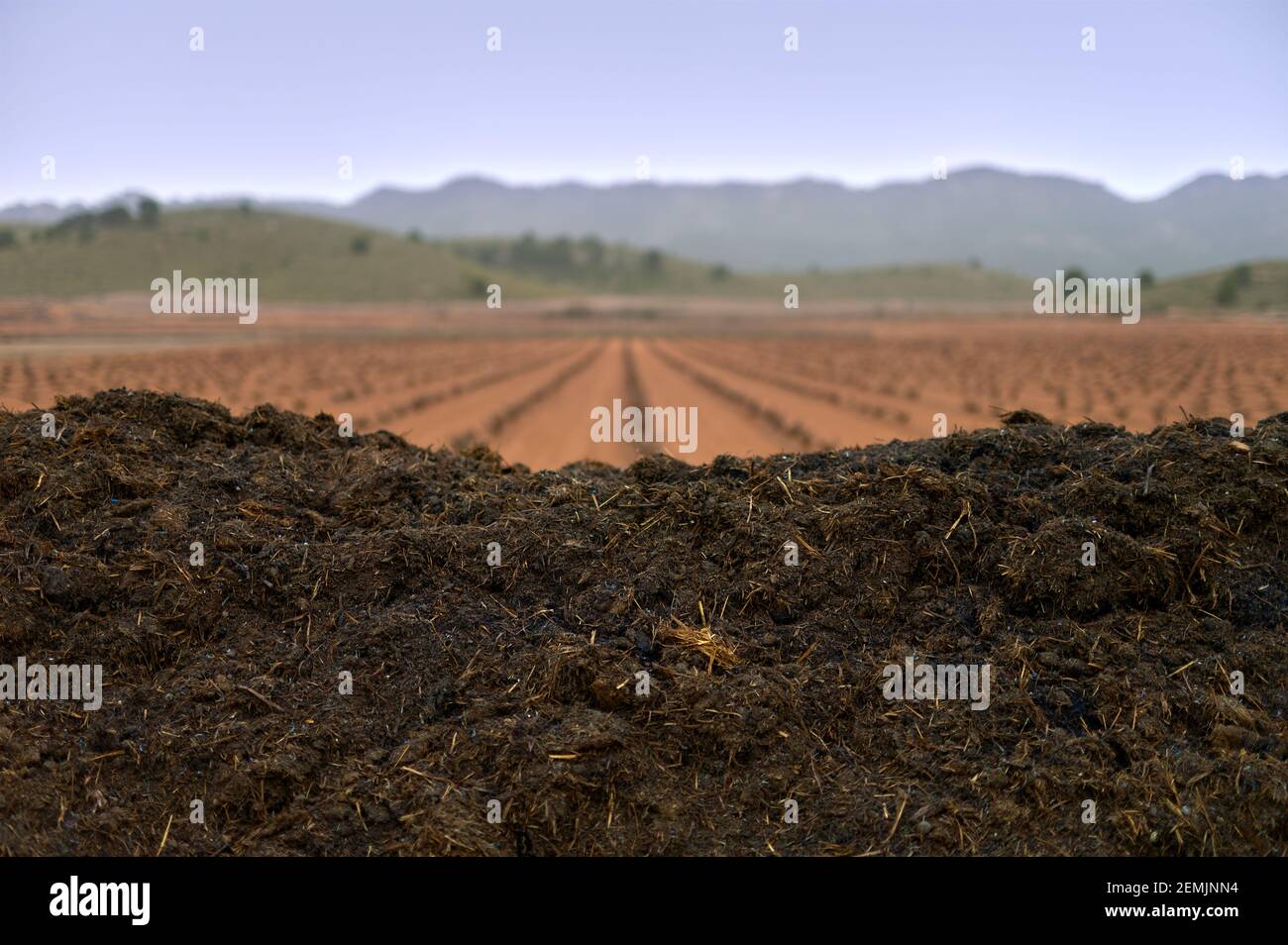close-up of a pile of organic waste for composting in a vineyard Stock ...