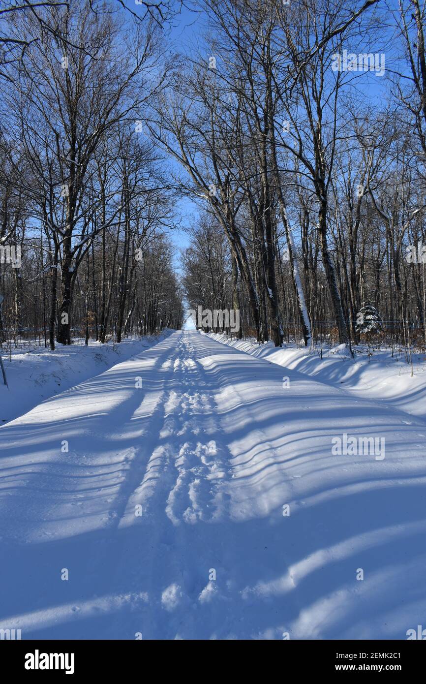 La route des érables en hiver, Québec Stock Photo - Alamy