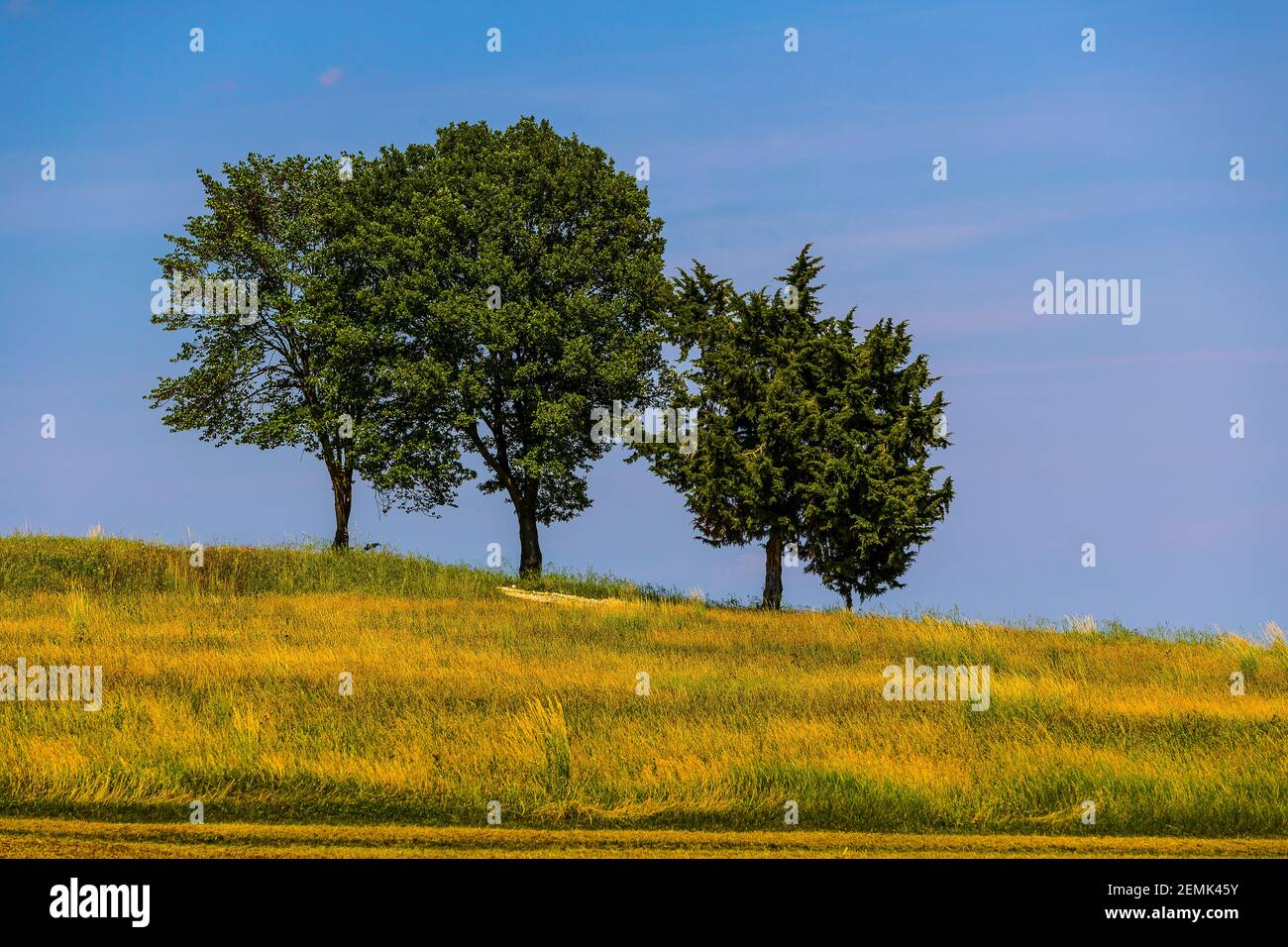 Castegnero hi-res stock photography and images - Alamy