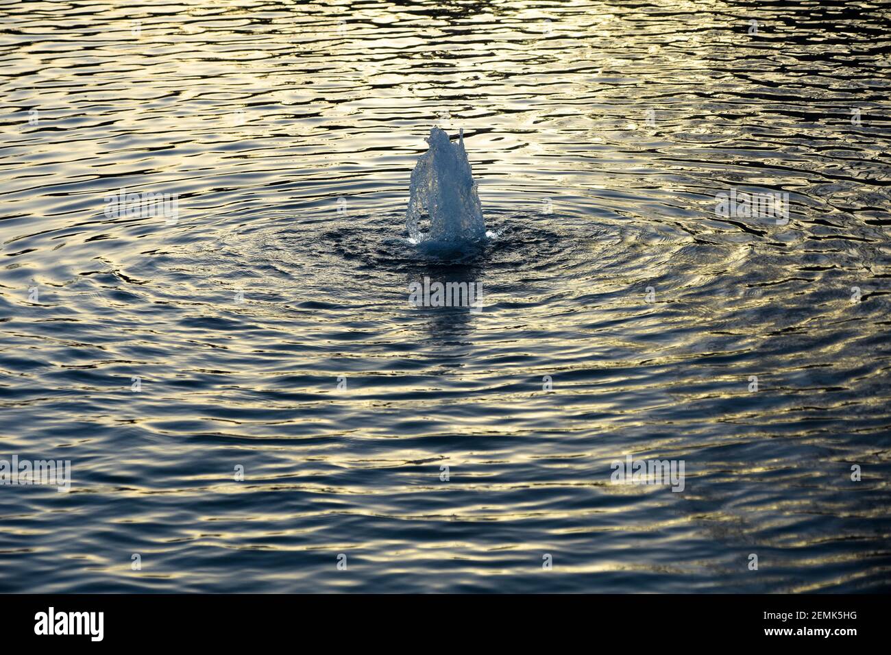 Pond surface with ripples Stock Photo - Alamy