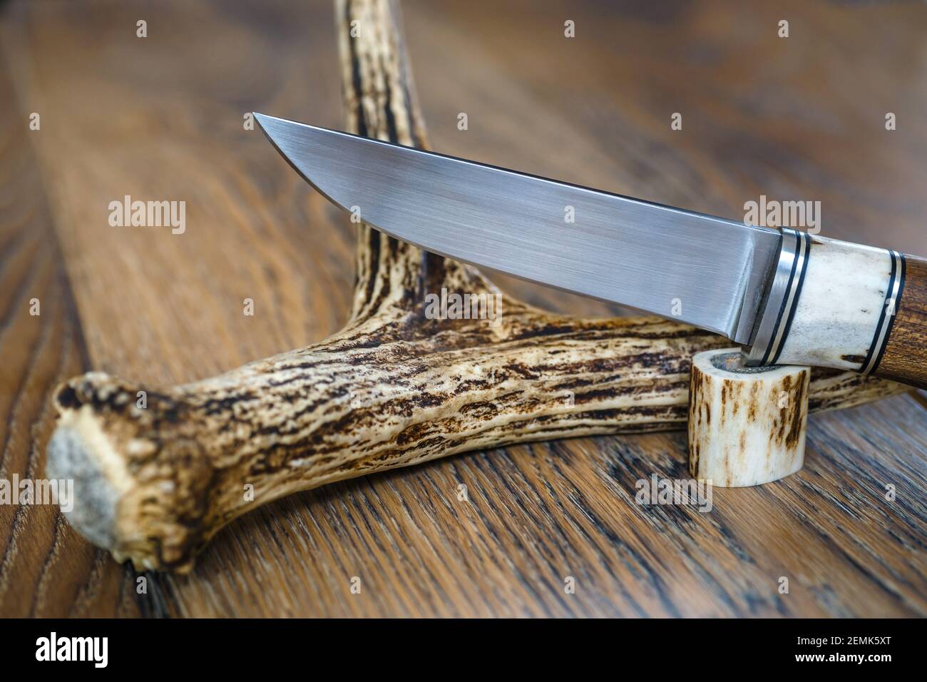 Hunter combat hand made knife and deer antlers Stock Photo - Alamy