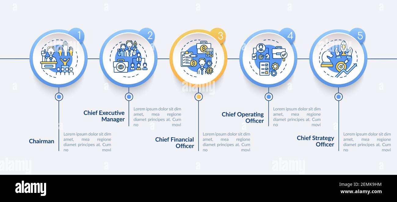 Top management positions vector infographic template Stock Vector Image ...