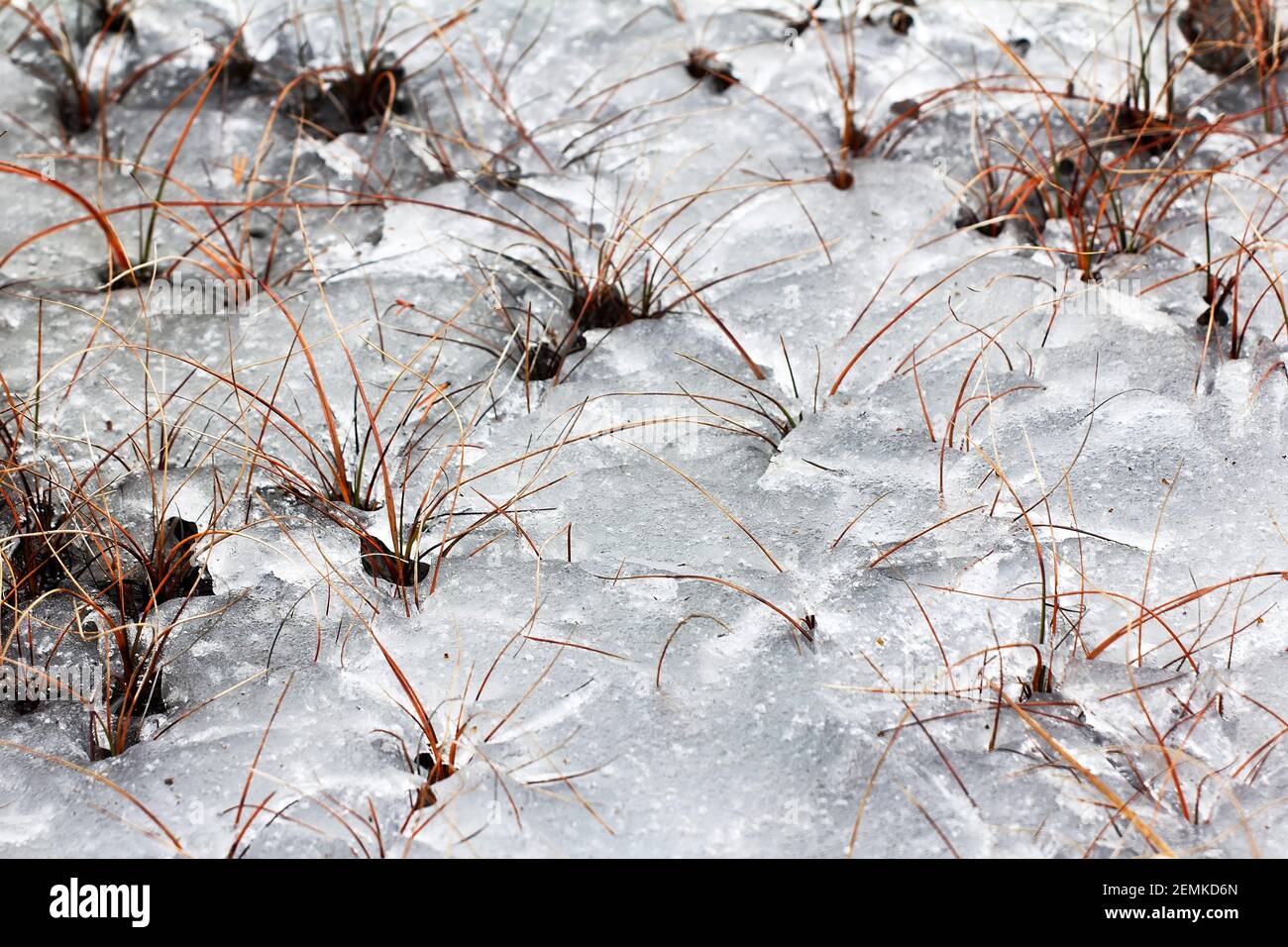 For Earth watchers. The Northern spring signs. The ice begins to melt ...
