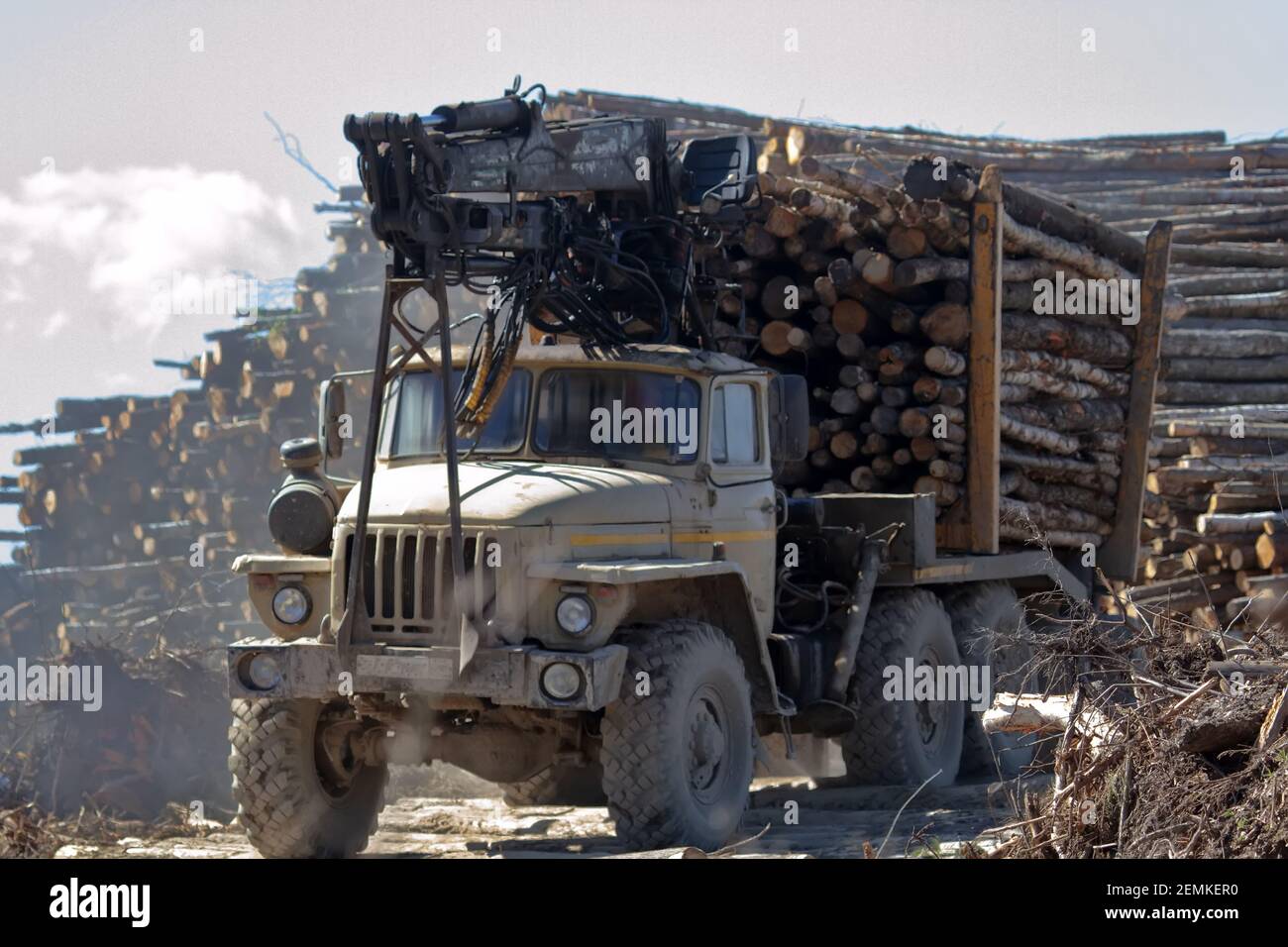 Forest industry. Operations for loading-unloading logging truck at ...