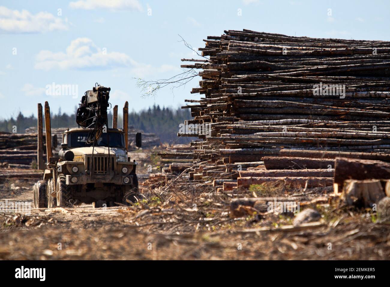 Forest industry. Operations for loading-unloading logging truck at ...