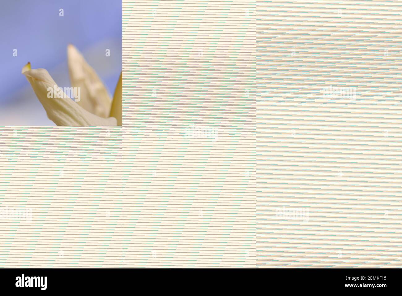 Real photo with broken pixels like example of distorted photo reality ...