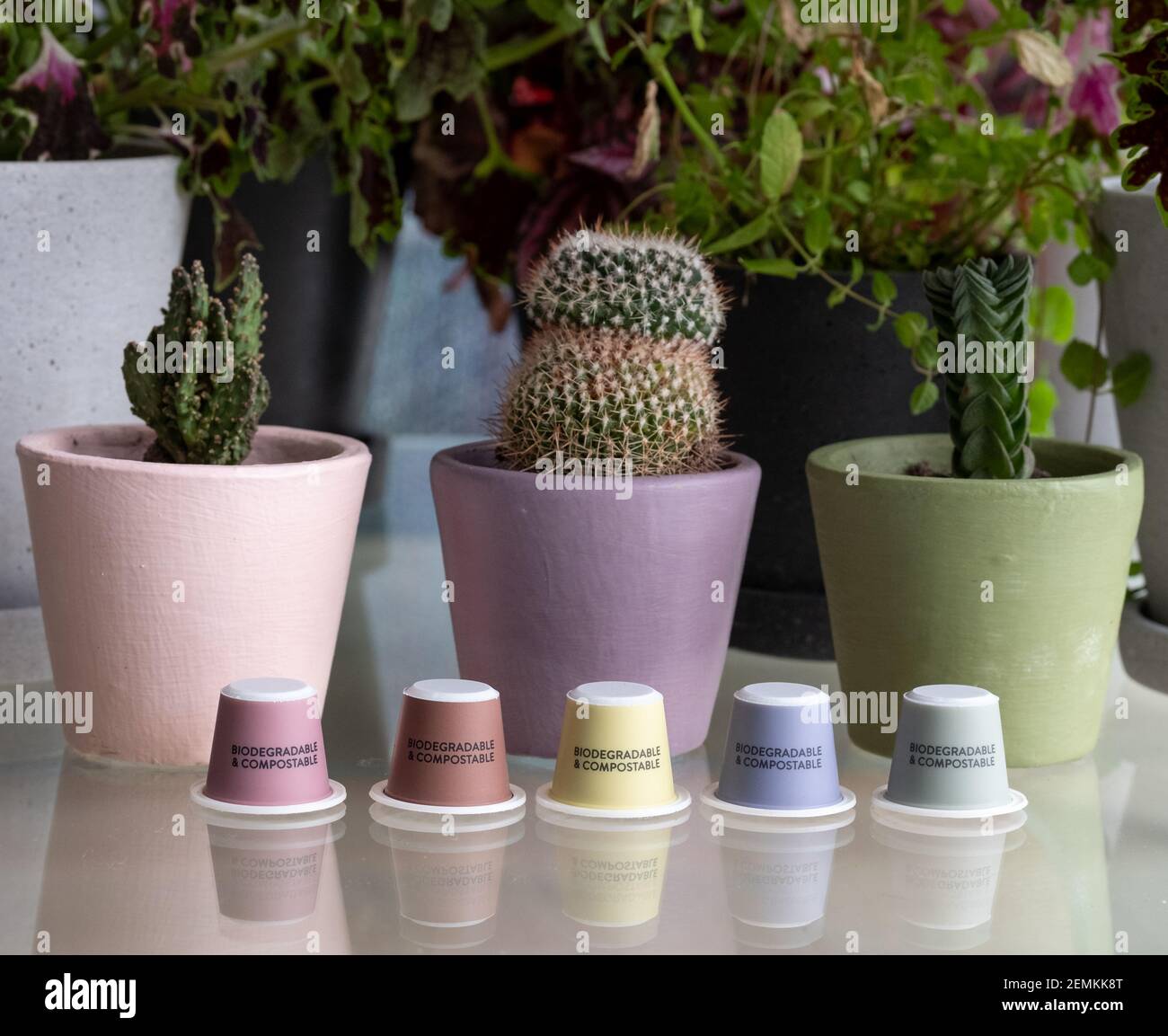 Colourful, sustainable eco friendly coffee capsules. The pods are ...