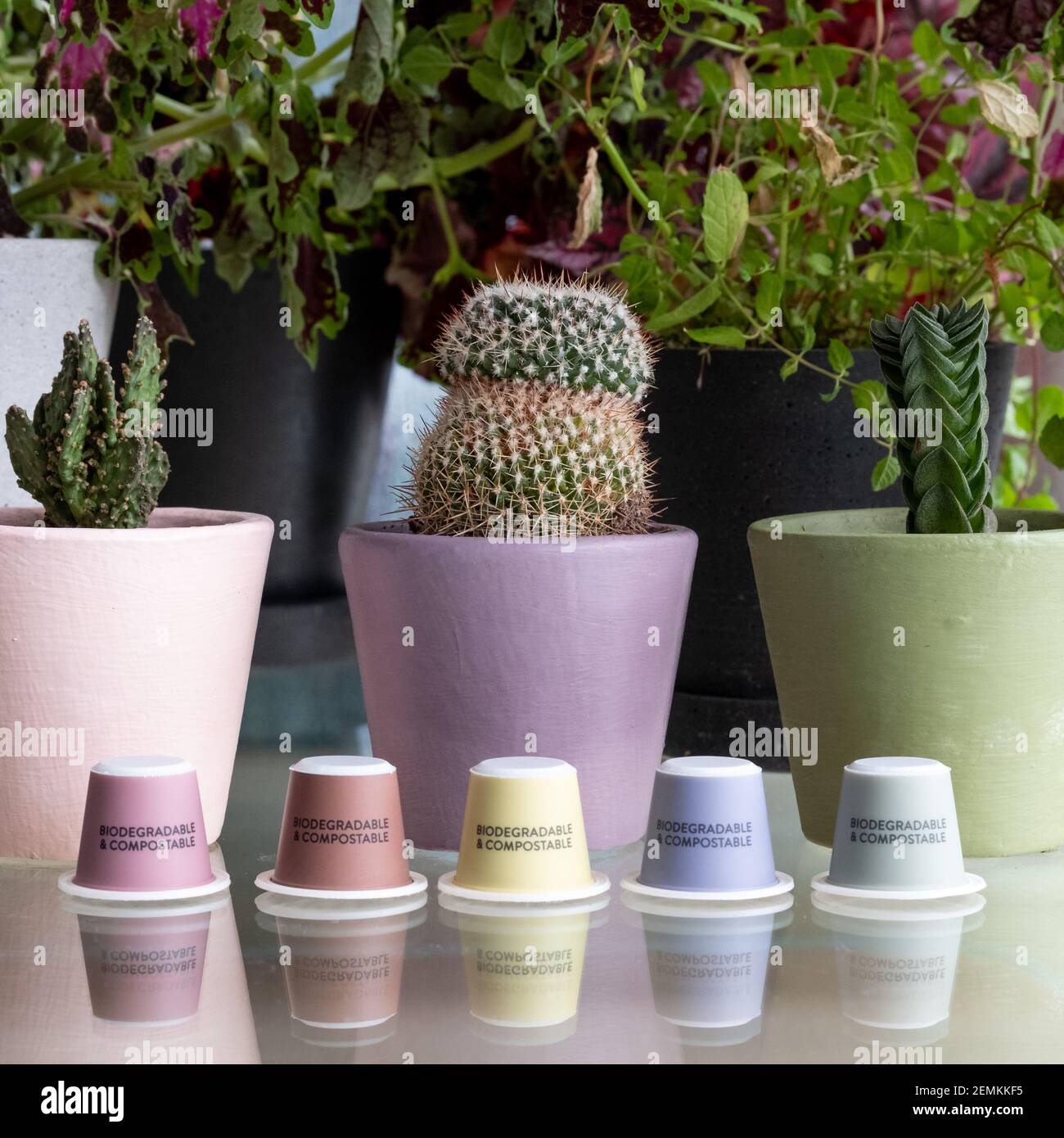 Colourful, sustainable eco friendly coffee capsules. The pods are ...