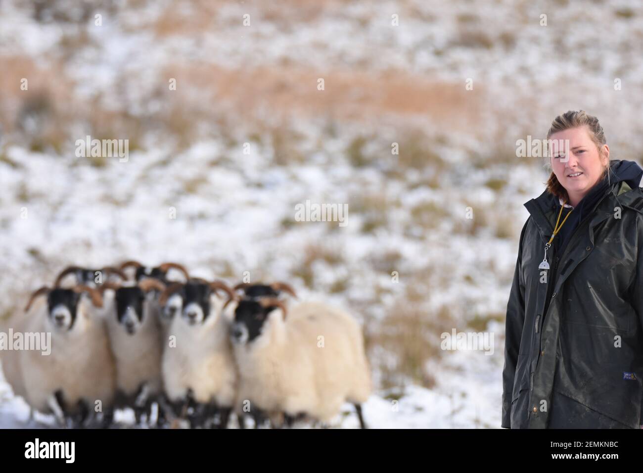 Shepherdess agriculture hi-res stock photography and images - Alamy