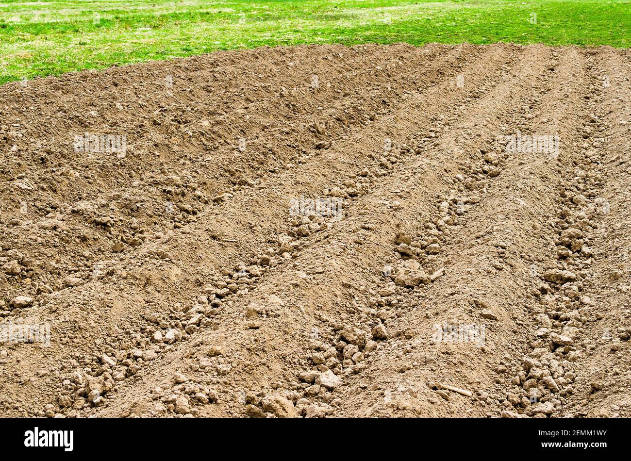 Furrow plough tilling field hi-res stock photography and images - Alamy