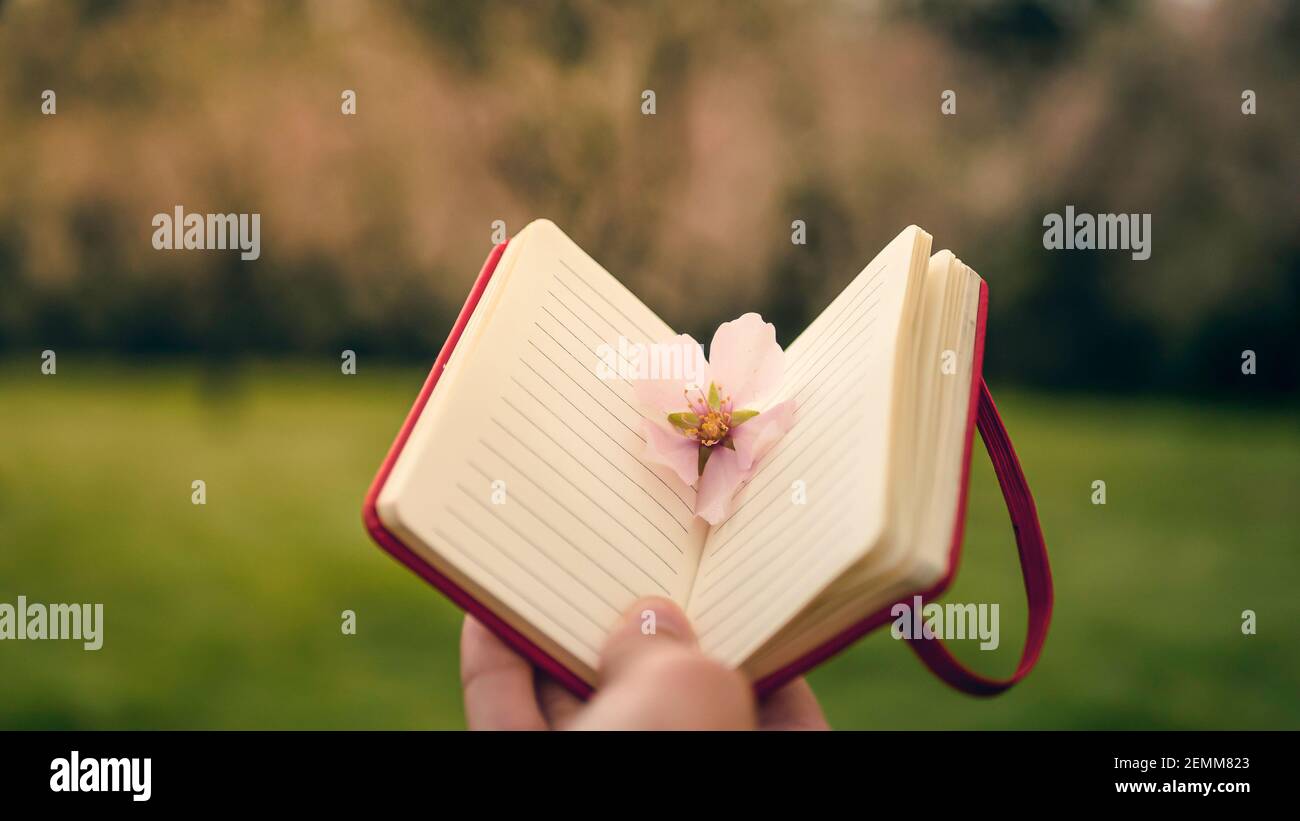 Flower in a book reading the nature. Conceptual photo of wisdom of ...