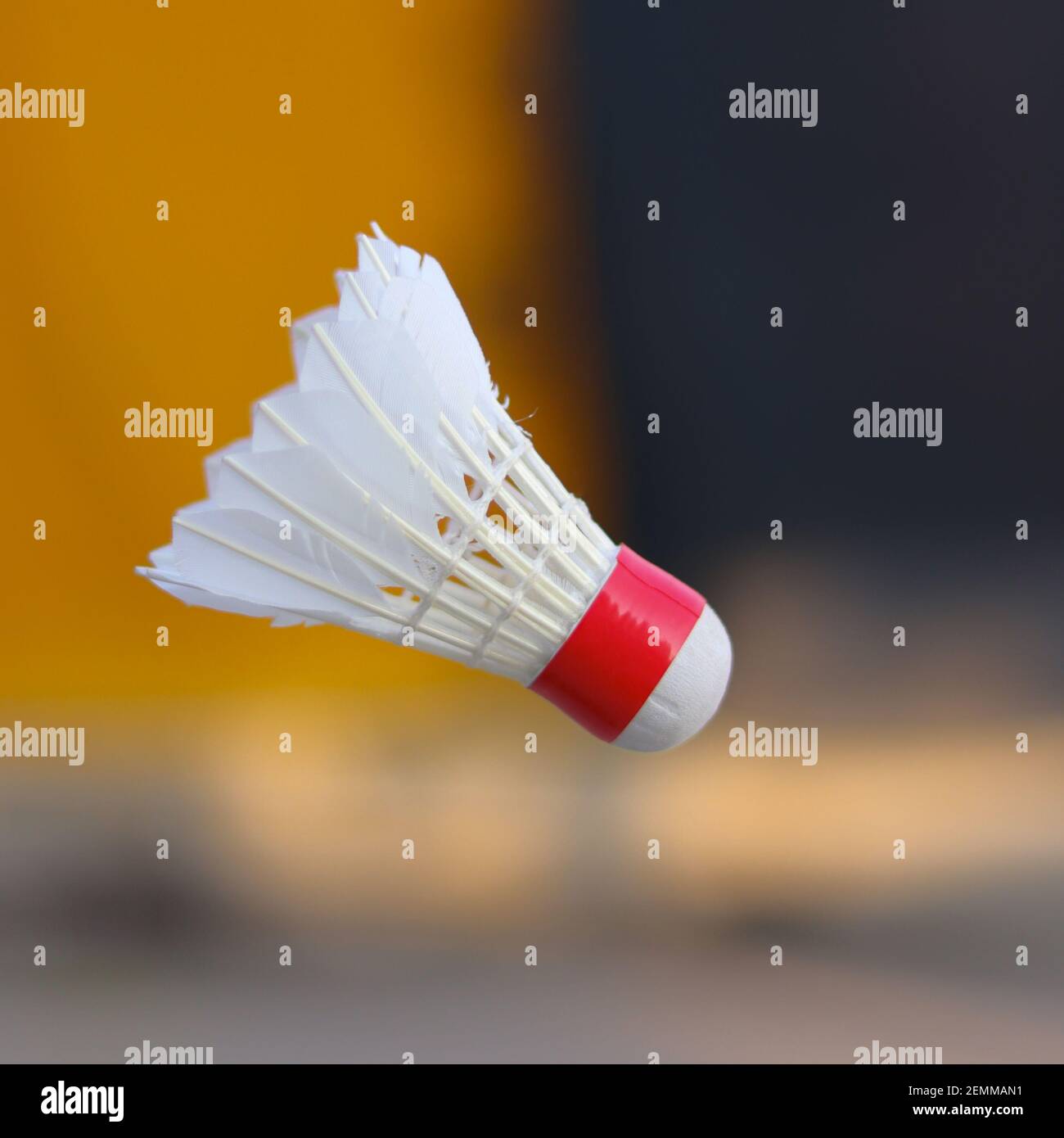 A professionally captured shuttlecock representing the spirits of ...