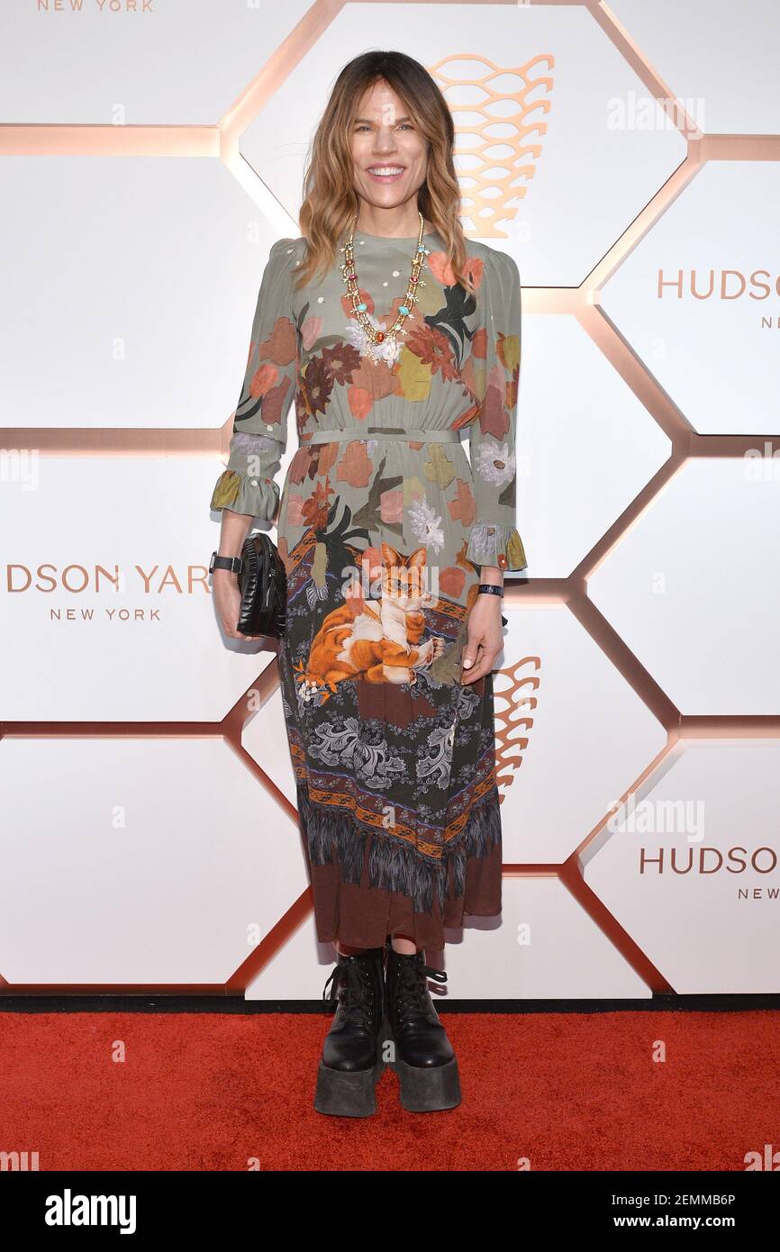 Doreen Remen attends the Hudson Yards Grand Opening event at the Hudson ...