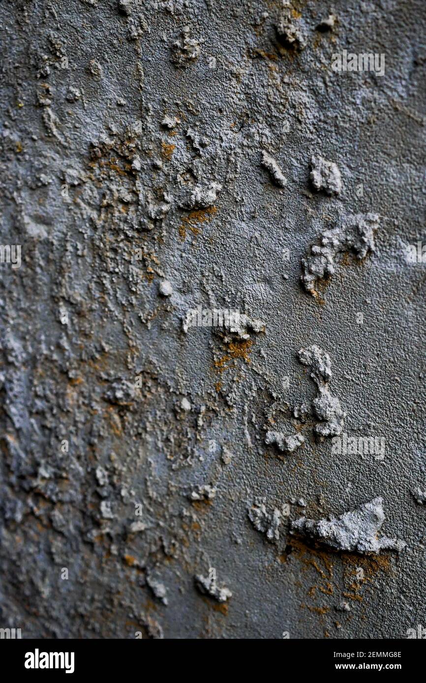Grainy concrete surface, close-up view, France Stock Photo - Alamy