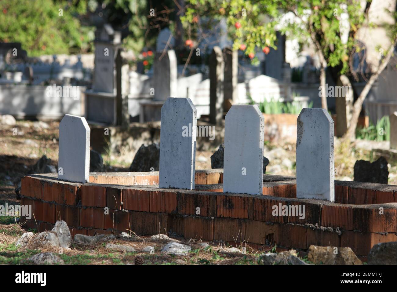 Graves with gravestones at a cemetery Stock Photo - Alamy