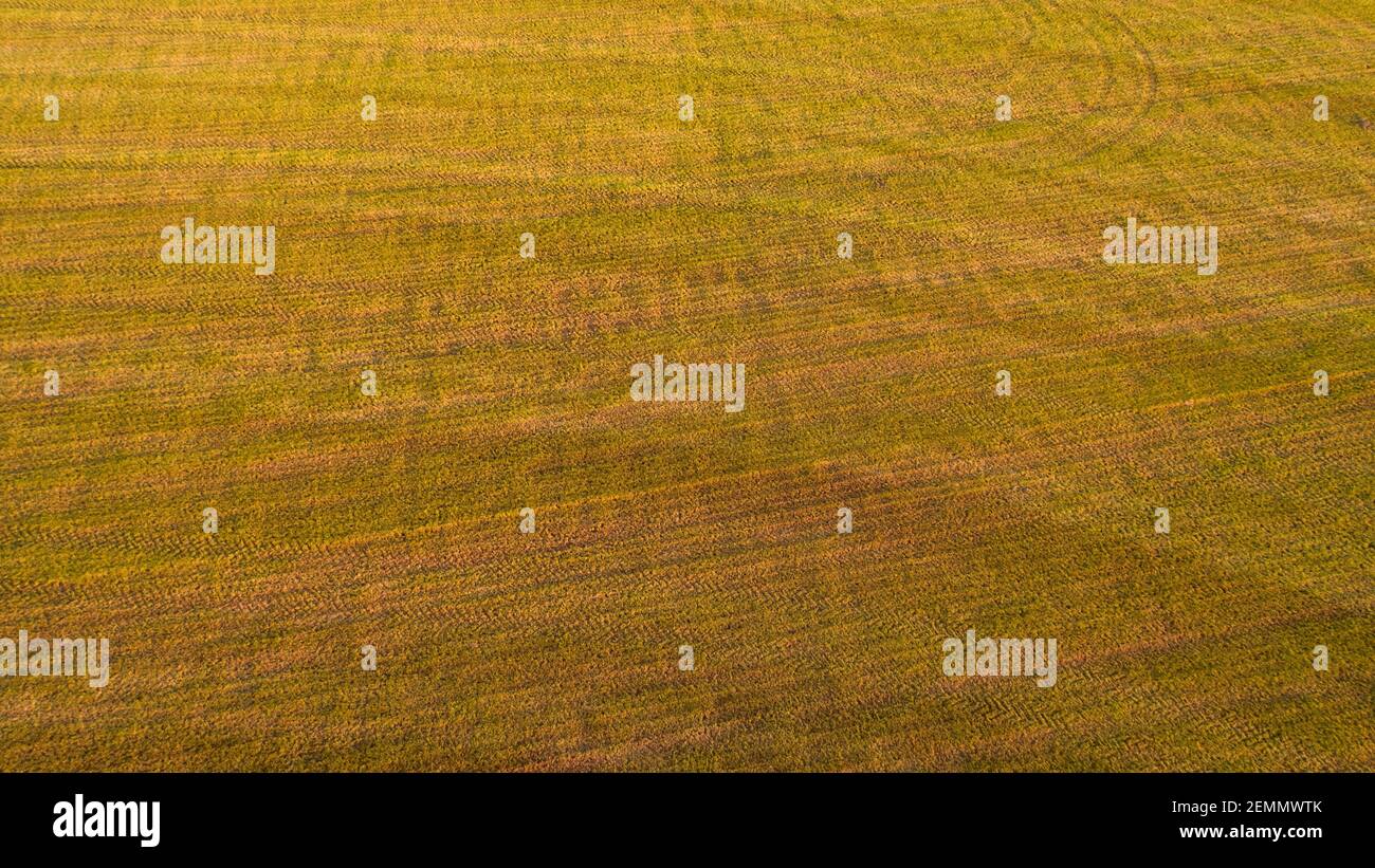 Aerial view of slurry spread Fields on the Towy River floodplain Stock ...