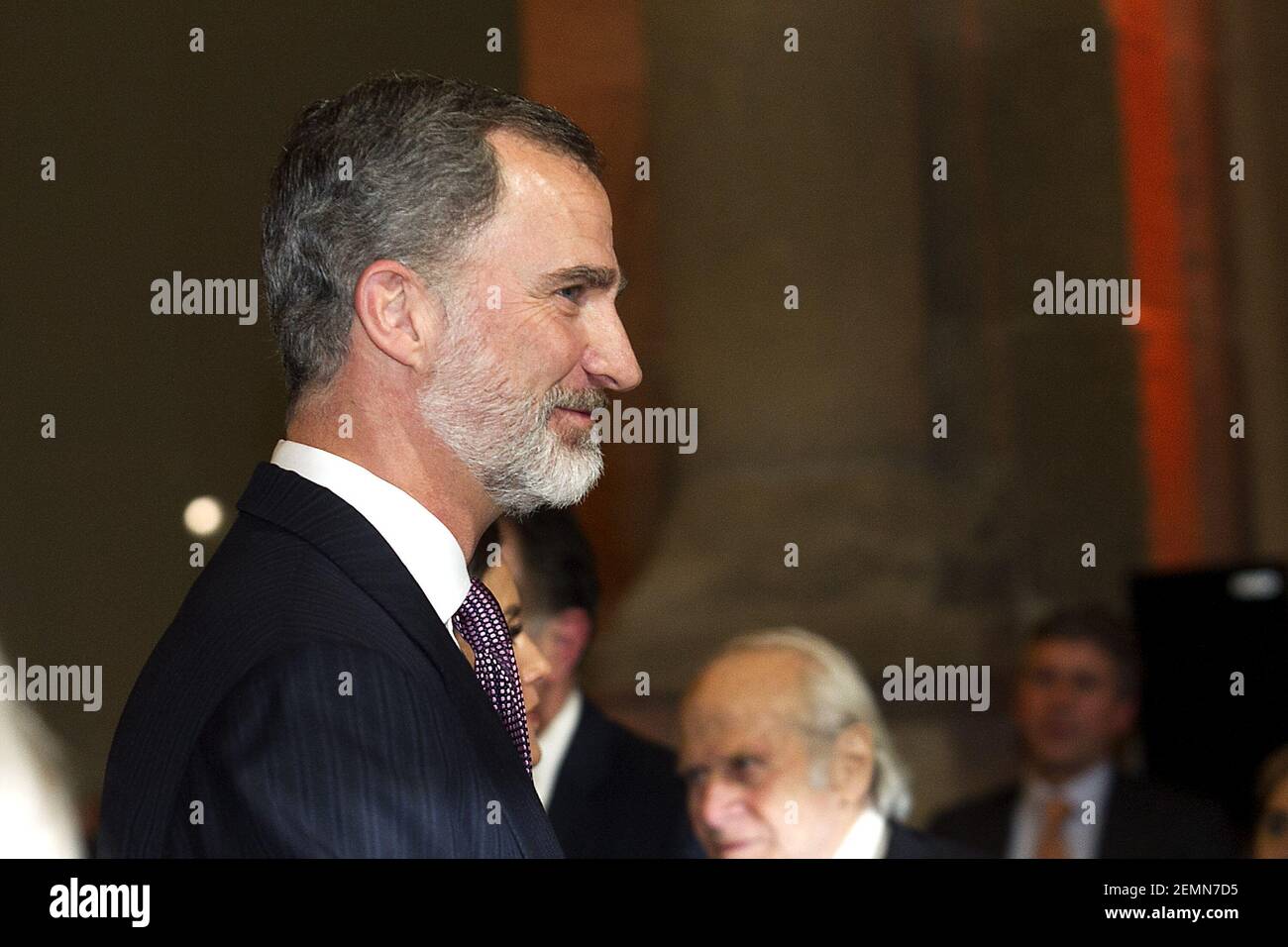 King Felipe VI of Spain attends the National Culture Awards at El Prado ...