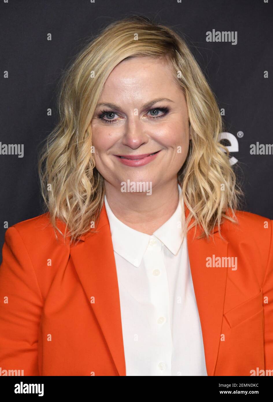 21 March 2019 - Hollywood, California - Amy Poehler. 2019 PaleyFest LA ...