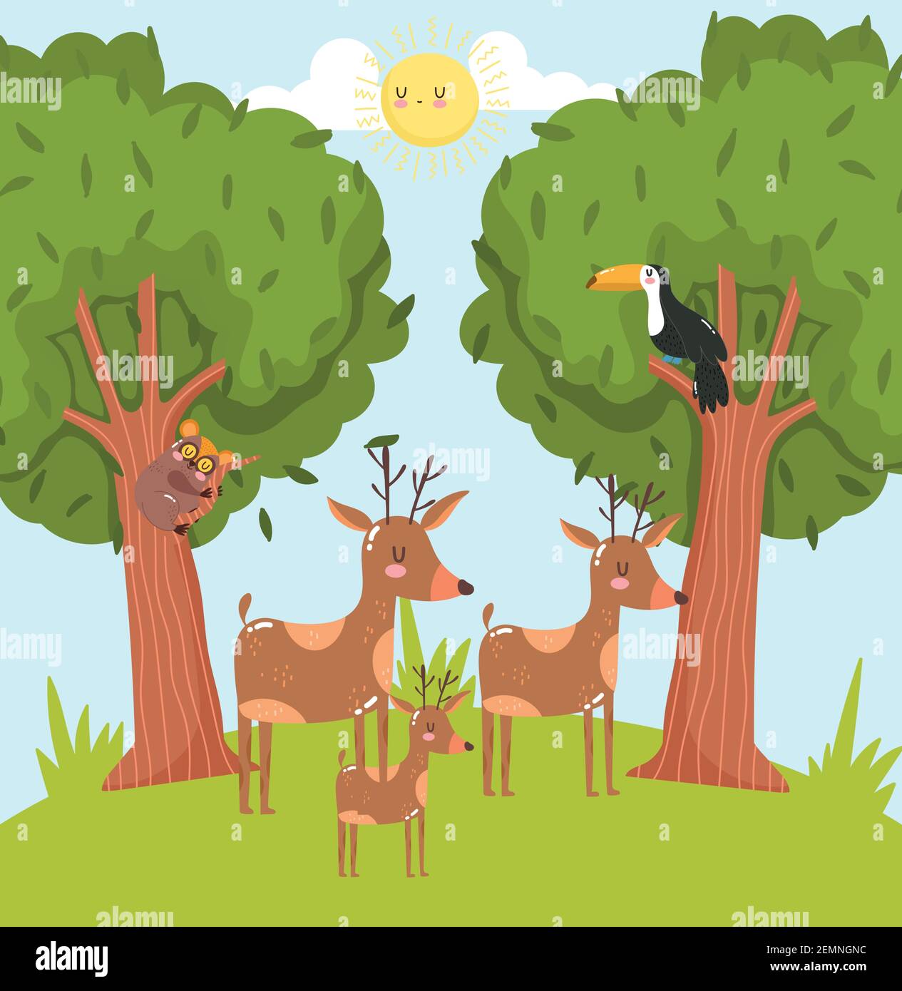 Animals deer toucan forest cartoon Stock Vector Image & Art - Alamy