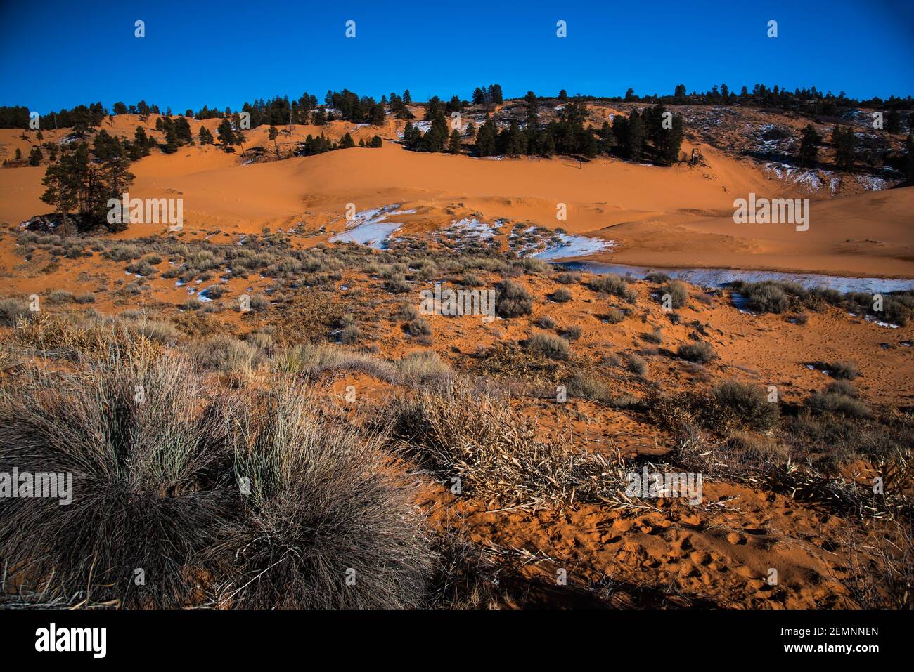 Wind erosion desert hi-res stock photography and images - Alamy