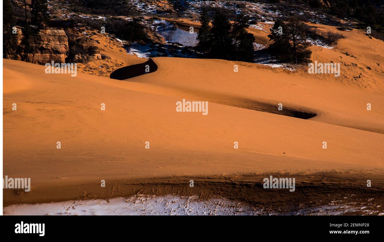 Coral Pink Sand Dues State Park in late winter. Erosion, wind and ...
