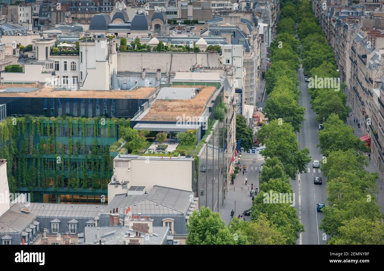 Trees on Parisian streets and green spaces on terraces, rooftops Stock ...
