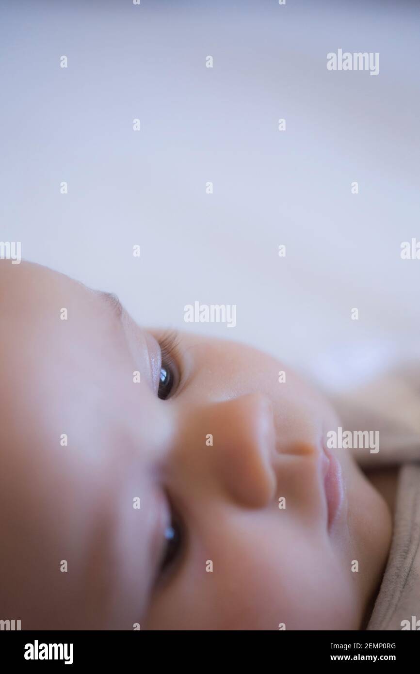 A close up portrait of a baby's face on a plain background Stock Photo ...