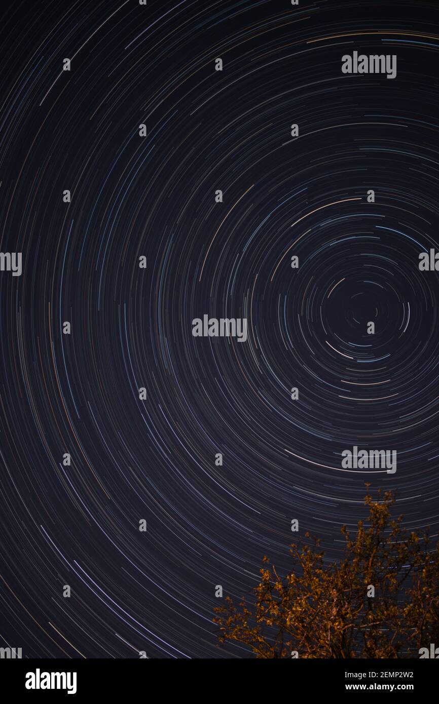 Long exposure Star trail, Tree in foreground Stock Photo - Alamy