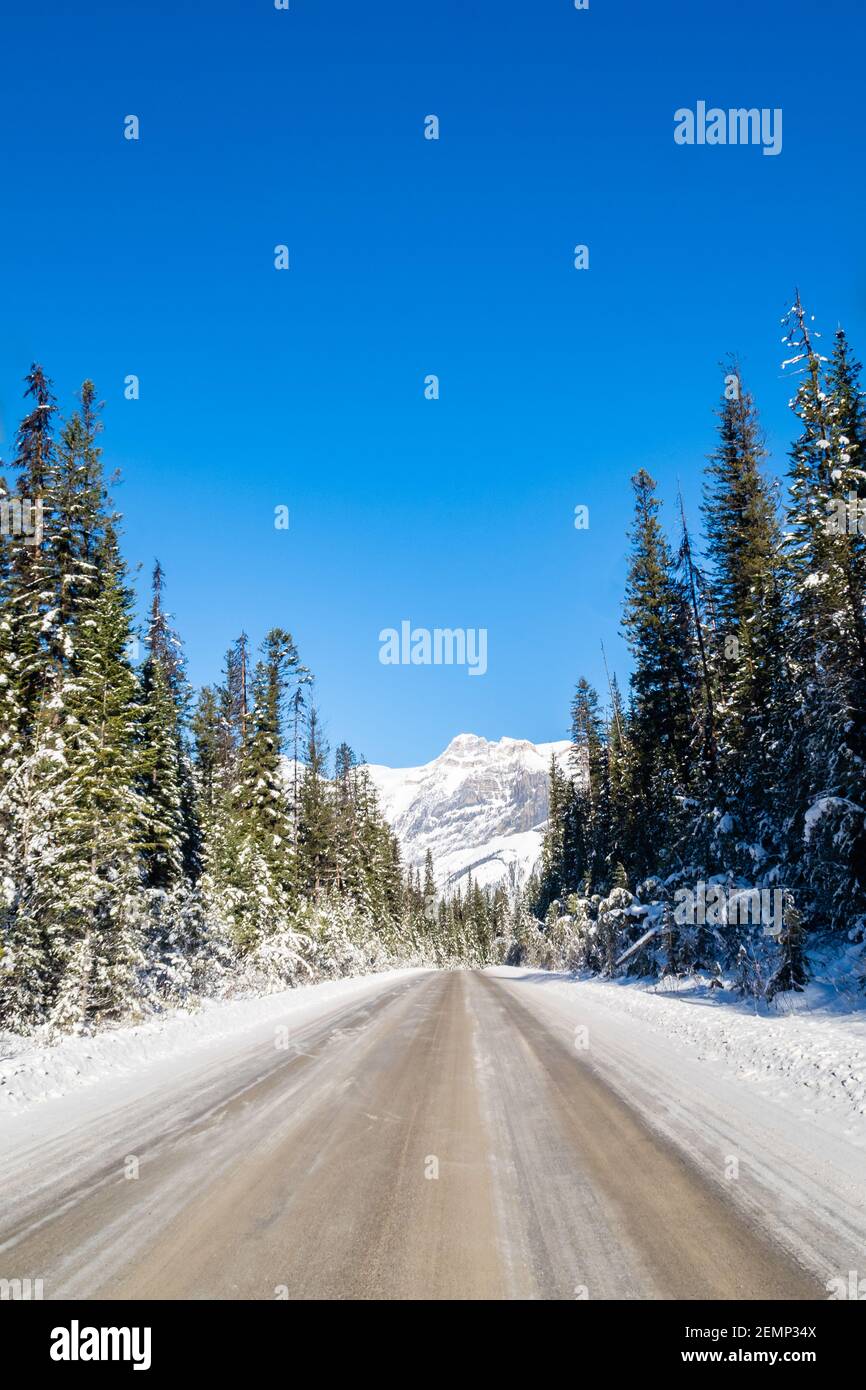93 road hi-res stock photography and images - Alamy