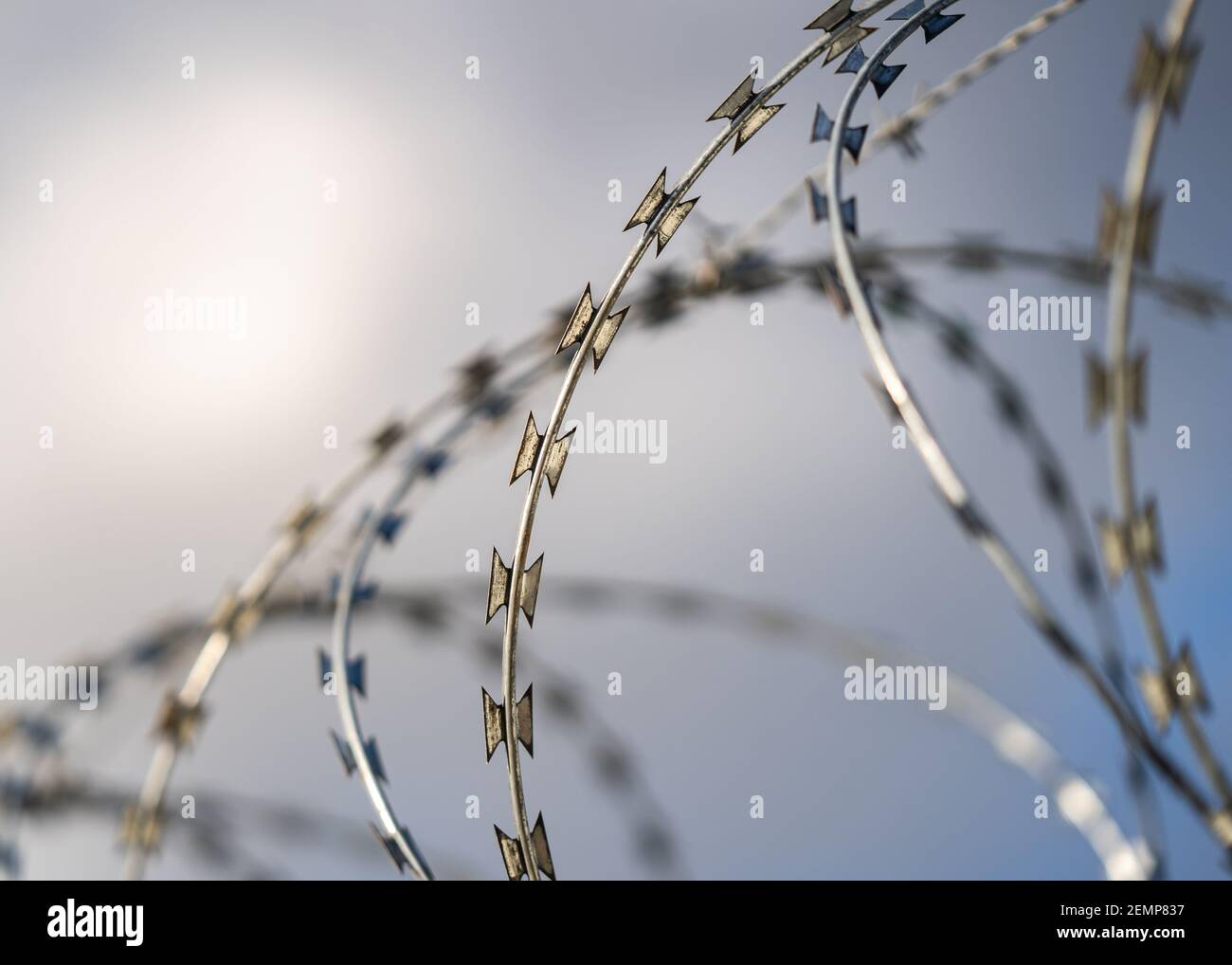 Close up sharp pointed razor wire barb fence coiled on top of prison ...