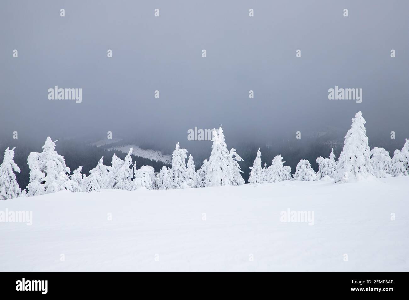 Extreme weather of winter hi-res stock photography and images - Alamy
