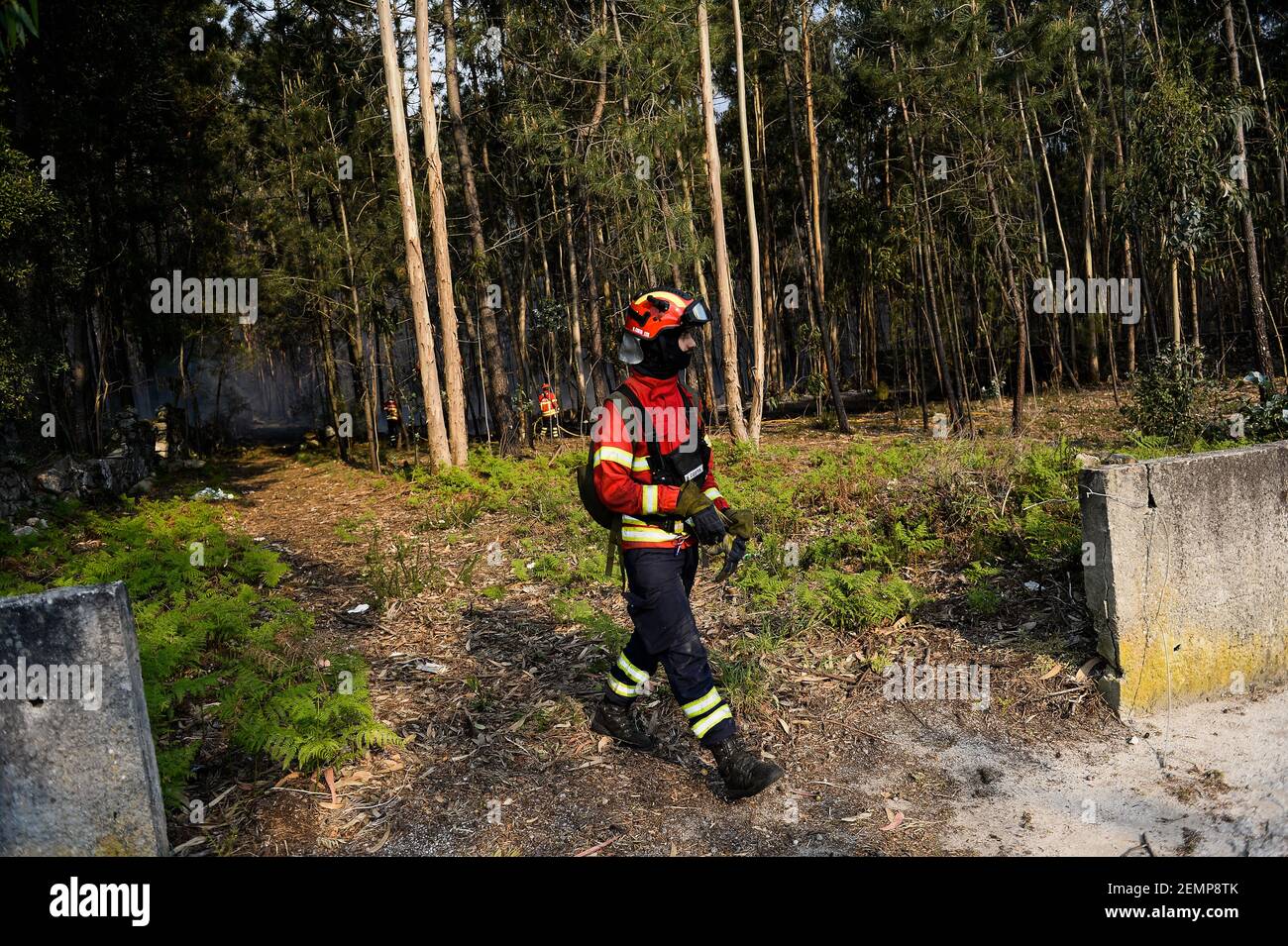 A fireman seen in action during a wildfire that started due to warm ...