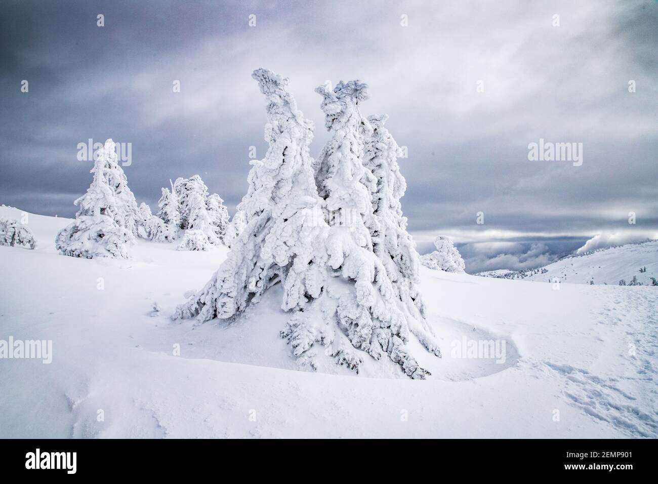 Extreme weather of winter hi-res stock photography and images - Alamy