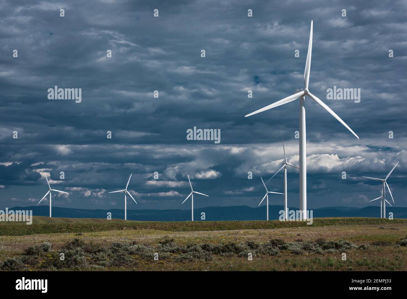 Kittitas County High Resolution Stock Photography and Images - Alamy