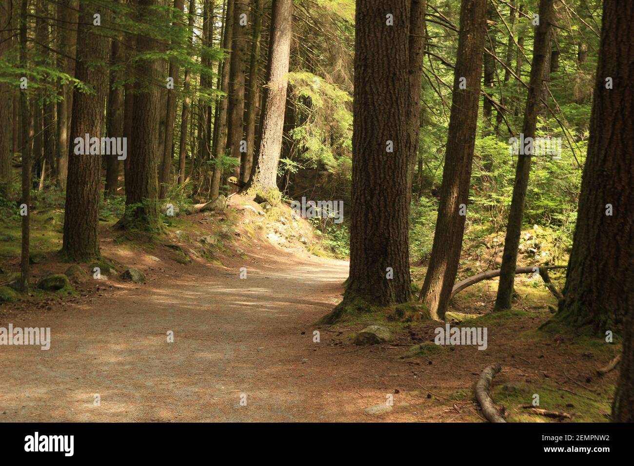 Dear trail hi-res stock photography and images - Alamy