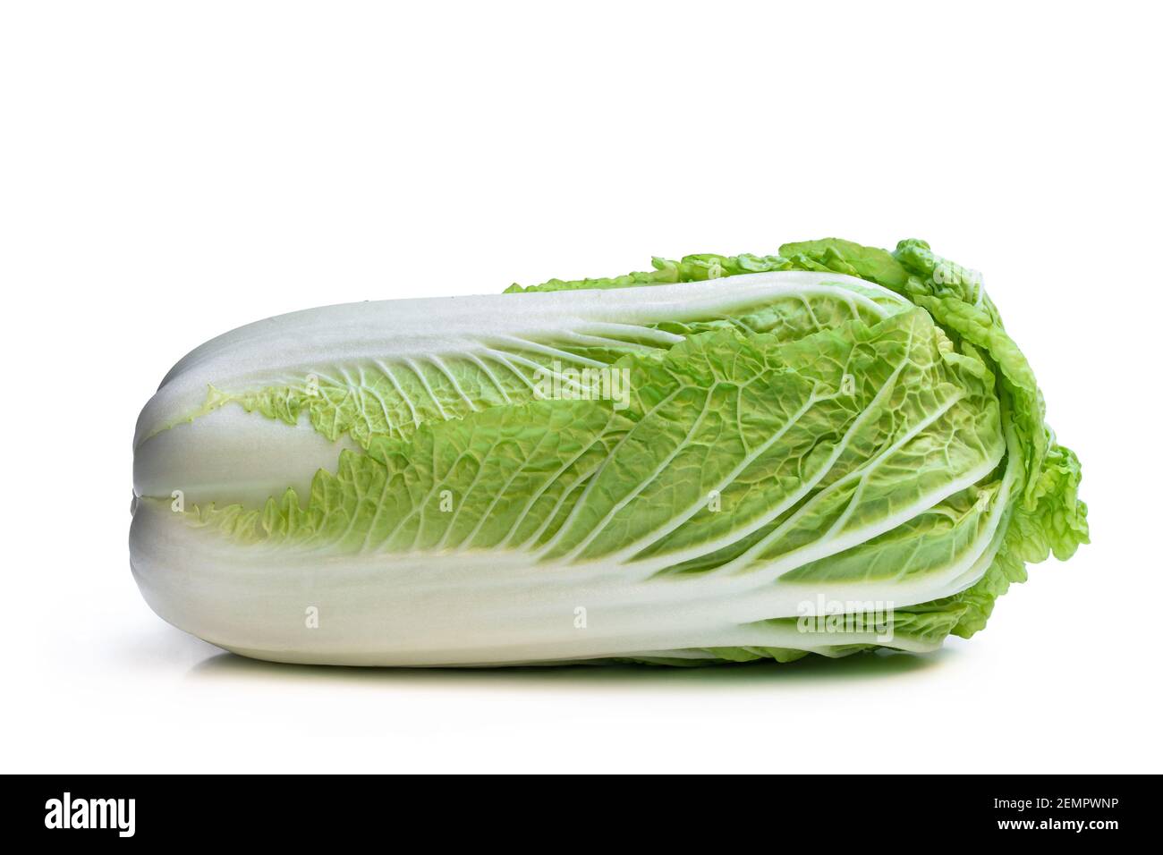 Fresh whole chinese cabbage isolated on white Stock Photo - Alamy