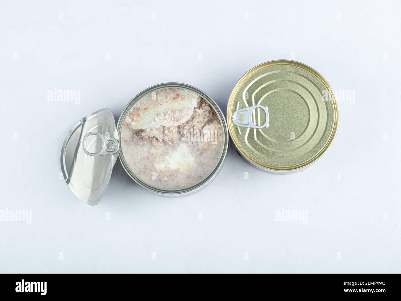 Canned meat tin. Two can on white background Stock Photo - Alamy