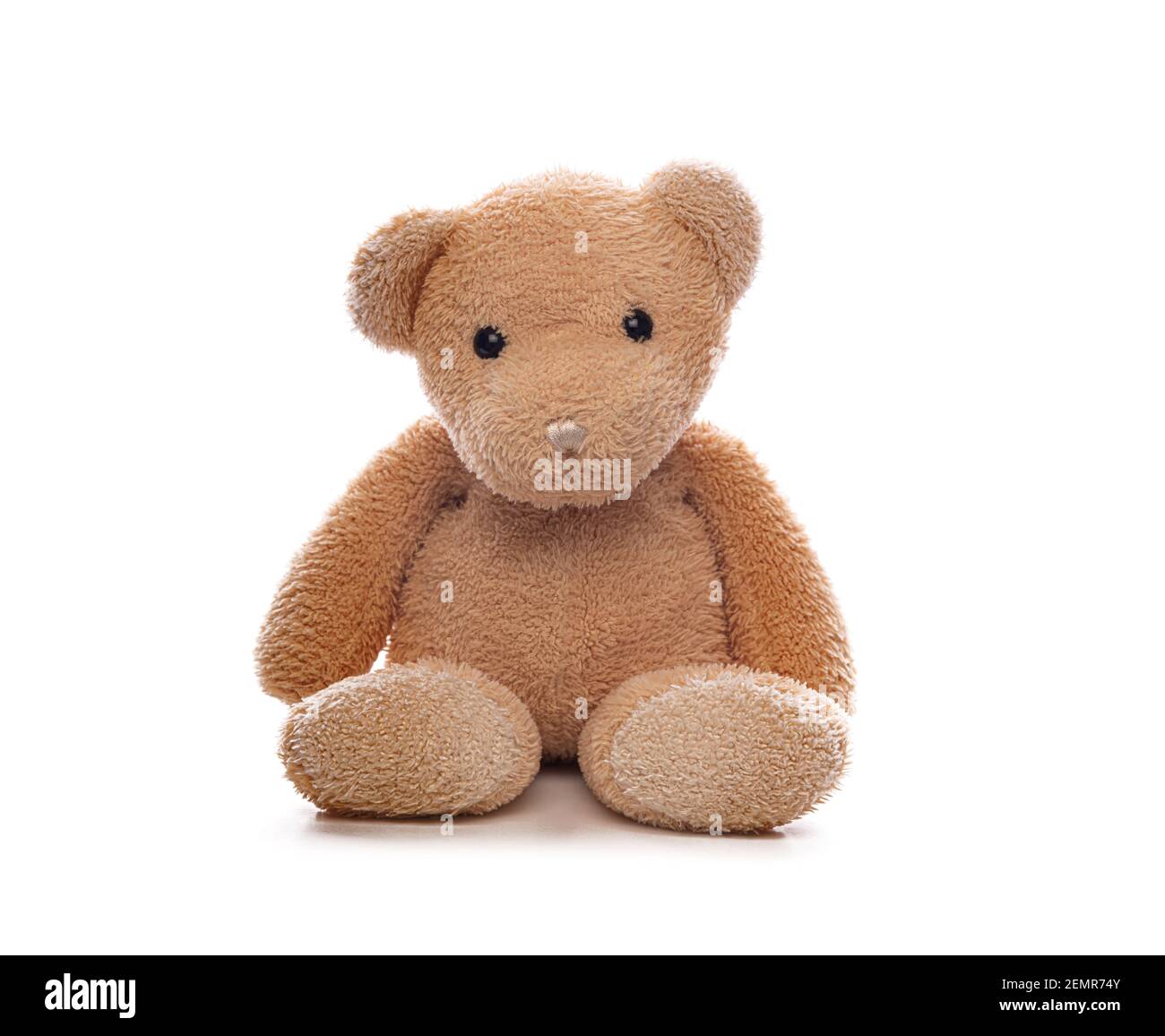 Teddy bear isolated on white background Stock Photo - Alamy
