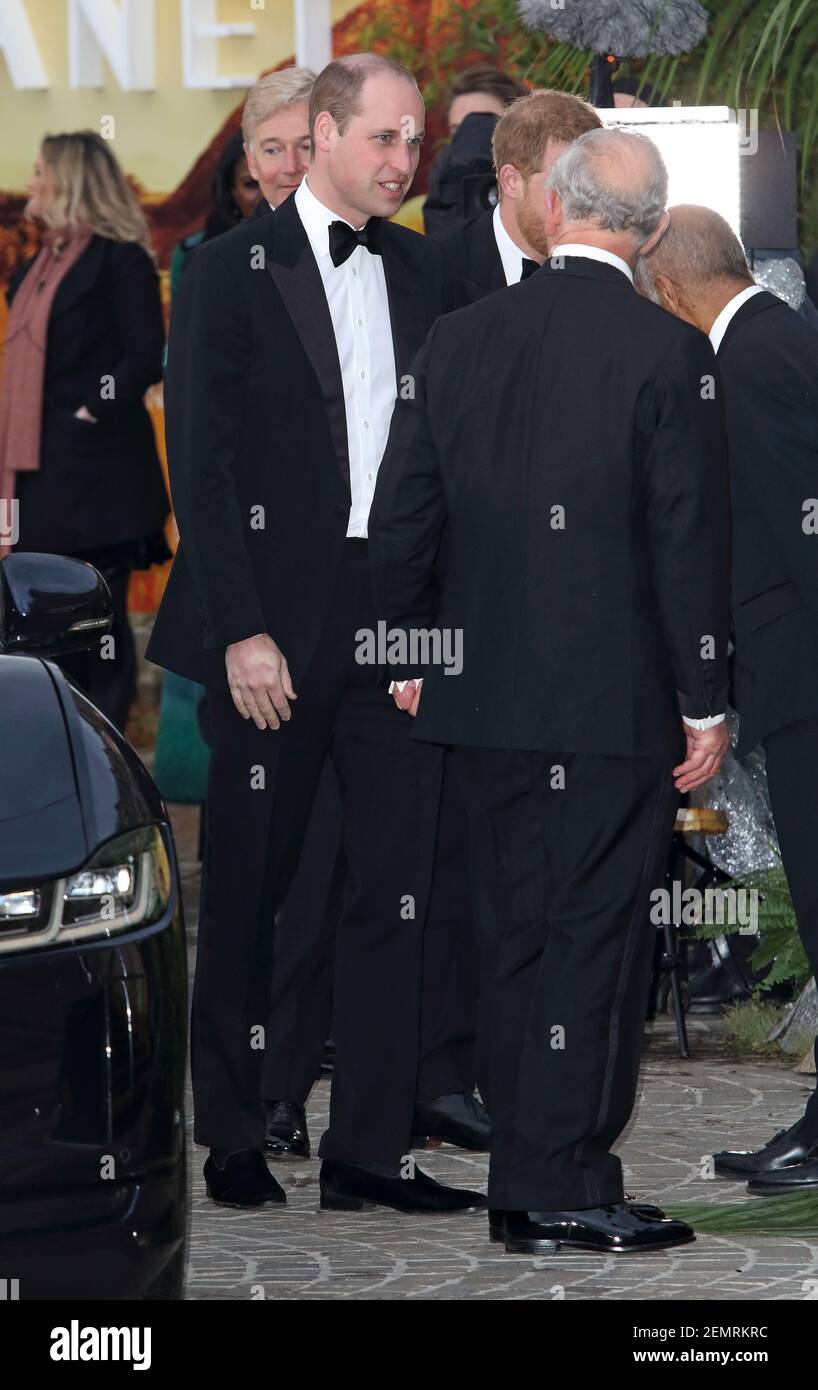 HRH Prince Charles, HRH Prince William and HRH Prince Harry at the ...