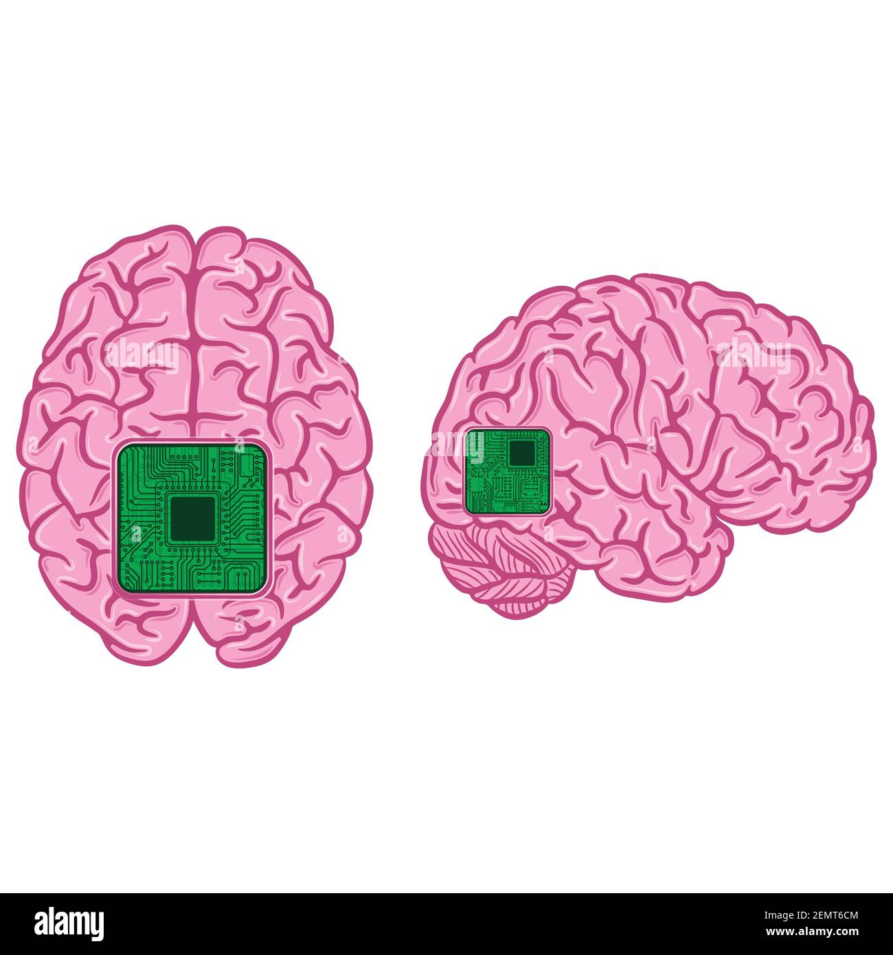 Pink brain with chip silhouettes set Stock Vector Image & Art - Alamy
