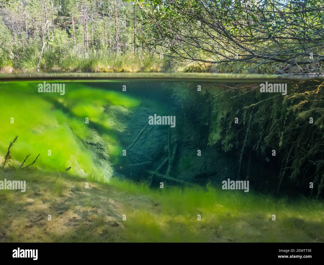 Pool underwater shot hi-res stock photography and images - Alamy