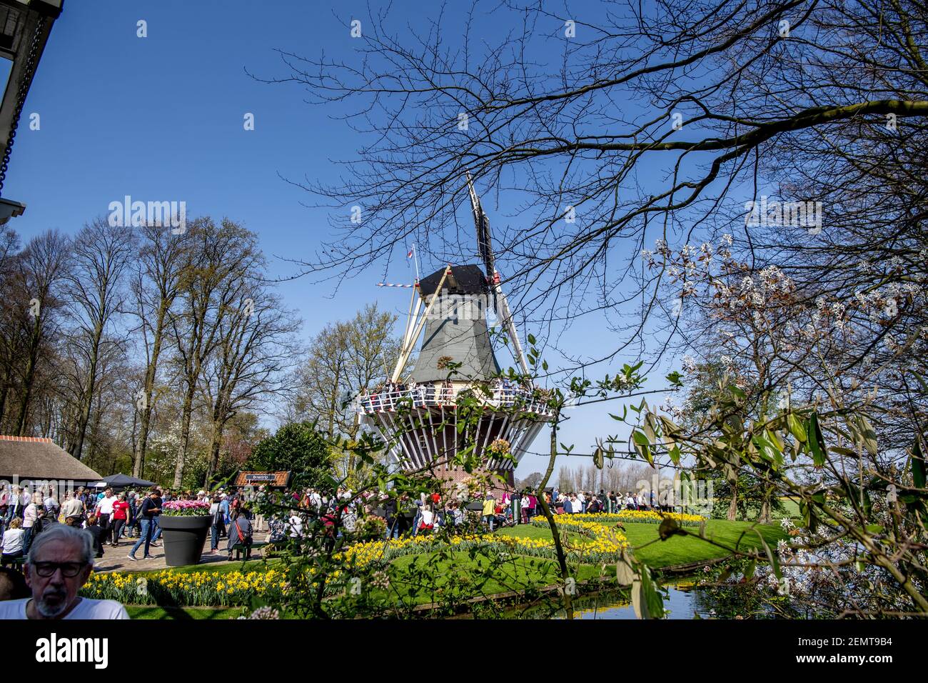 Lisse - Tourist in the flower park the Keukenhof on April 8, 2019 ...
