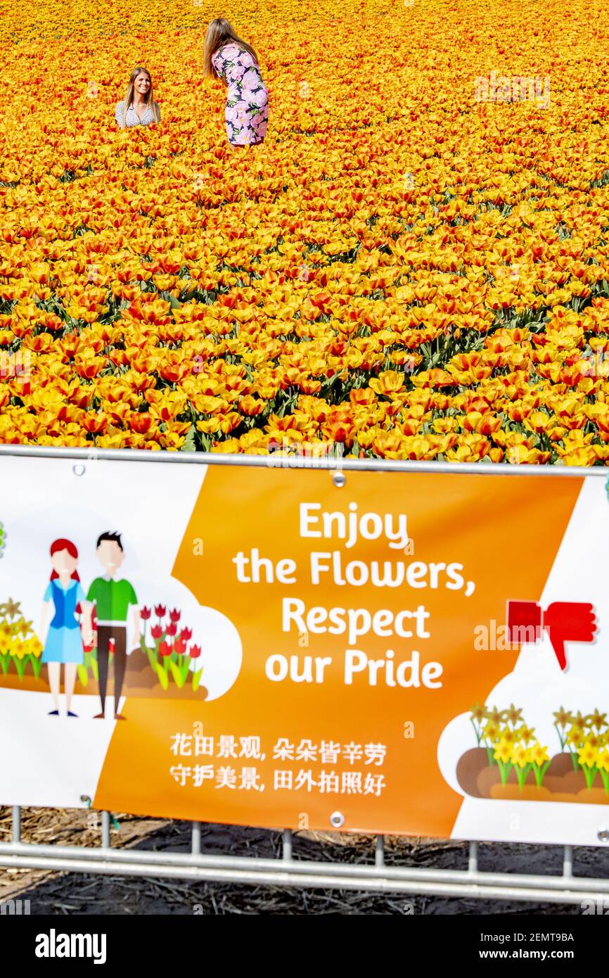 Lisse - Tourist in the flower park the Keukenhof on April 8, 2019 ...